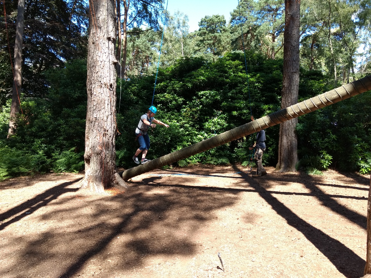 Avon Tyrrell 2019 – High Ropes and Climbing Wall – Oxford Phab